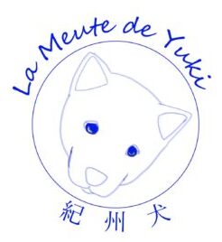 KISHU | La meute de Yuki